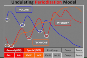 Periodization 301: Review Of Periodization Models — GC Performance Training