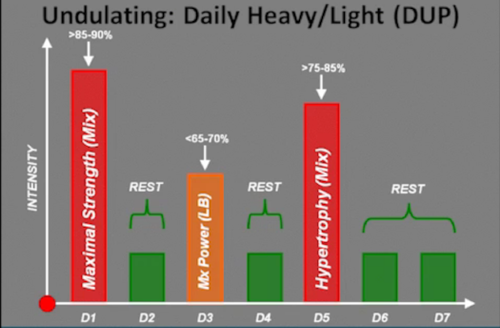 Periodization 301: Review Of Periodization Models — GC Performance Training