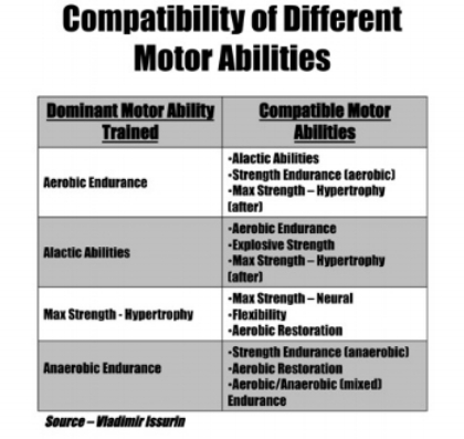 Periodization 301: Review Of Periodization Models — GC Performance Training