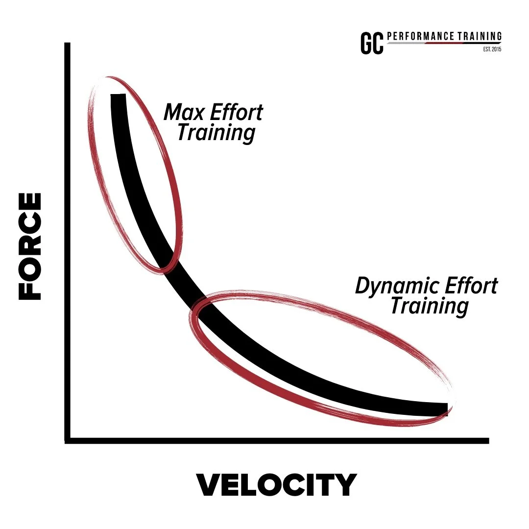 Combat Sports Strength and Conditioning : Microcycle & Within-Session ...