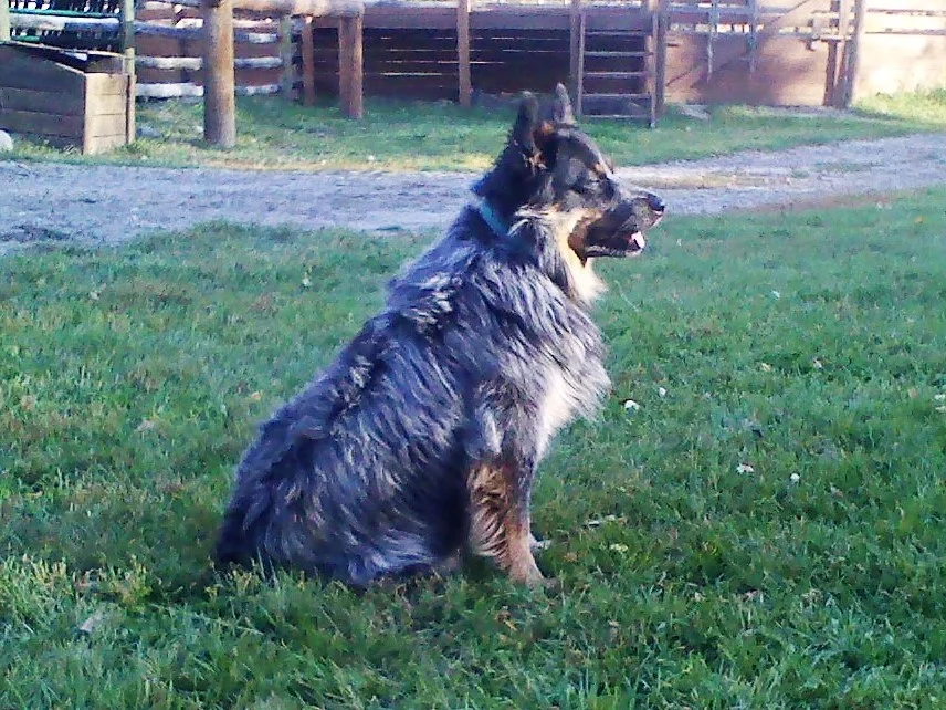 Gallery — Kurtz Ranch