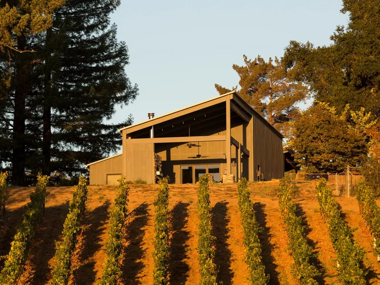 OUR ESTATE — Thompson 31Fifty Wines