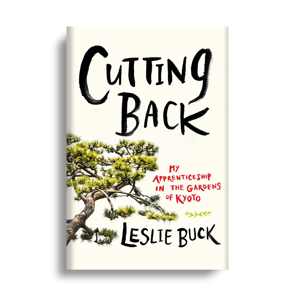 Dream Job: Book Cover Illustrator — Untouchable