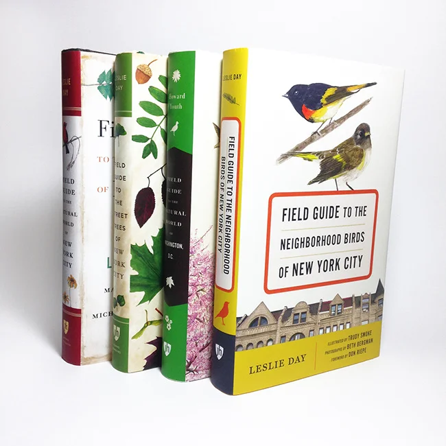 Dream Job: Book Cover Illustrator — Untouchable
