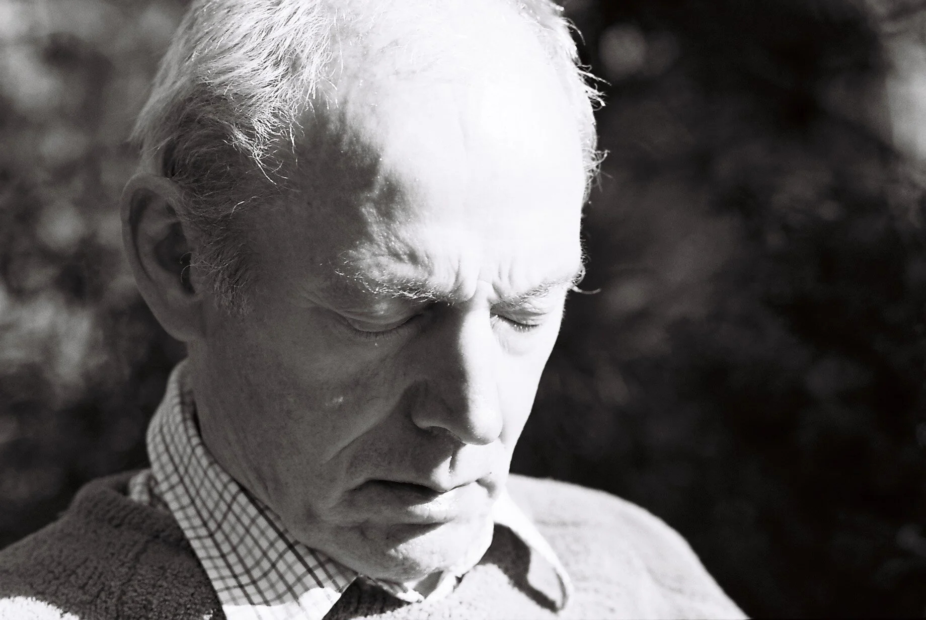 DEMENTIA — Eulogies — Speakola