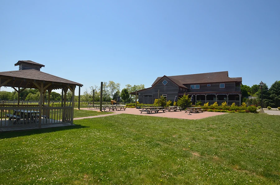 Outdoor Patio — Jason's Vineyard