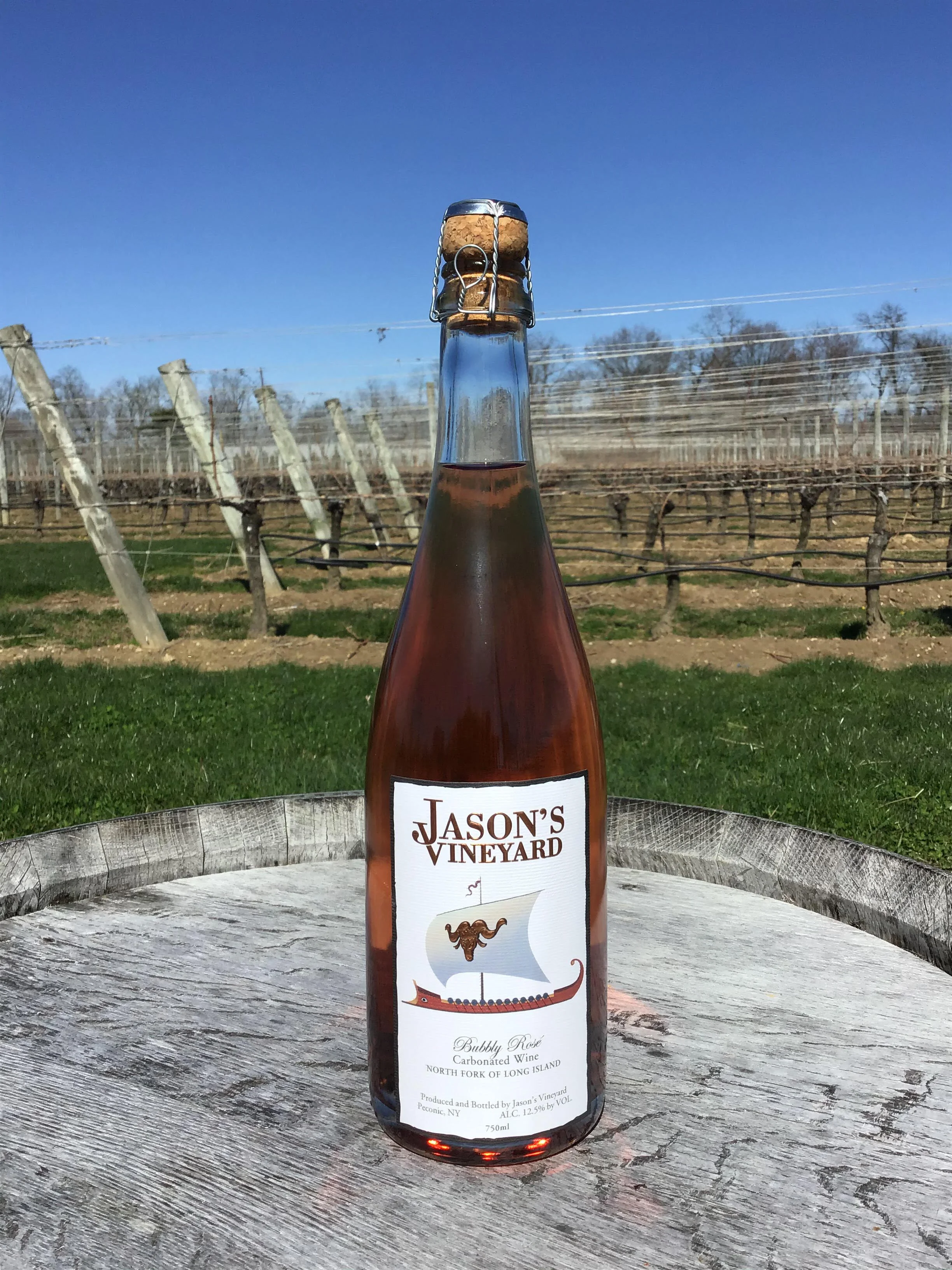 Our Wines (old) — Jason's Vineyard