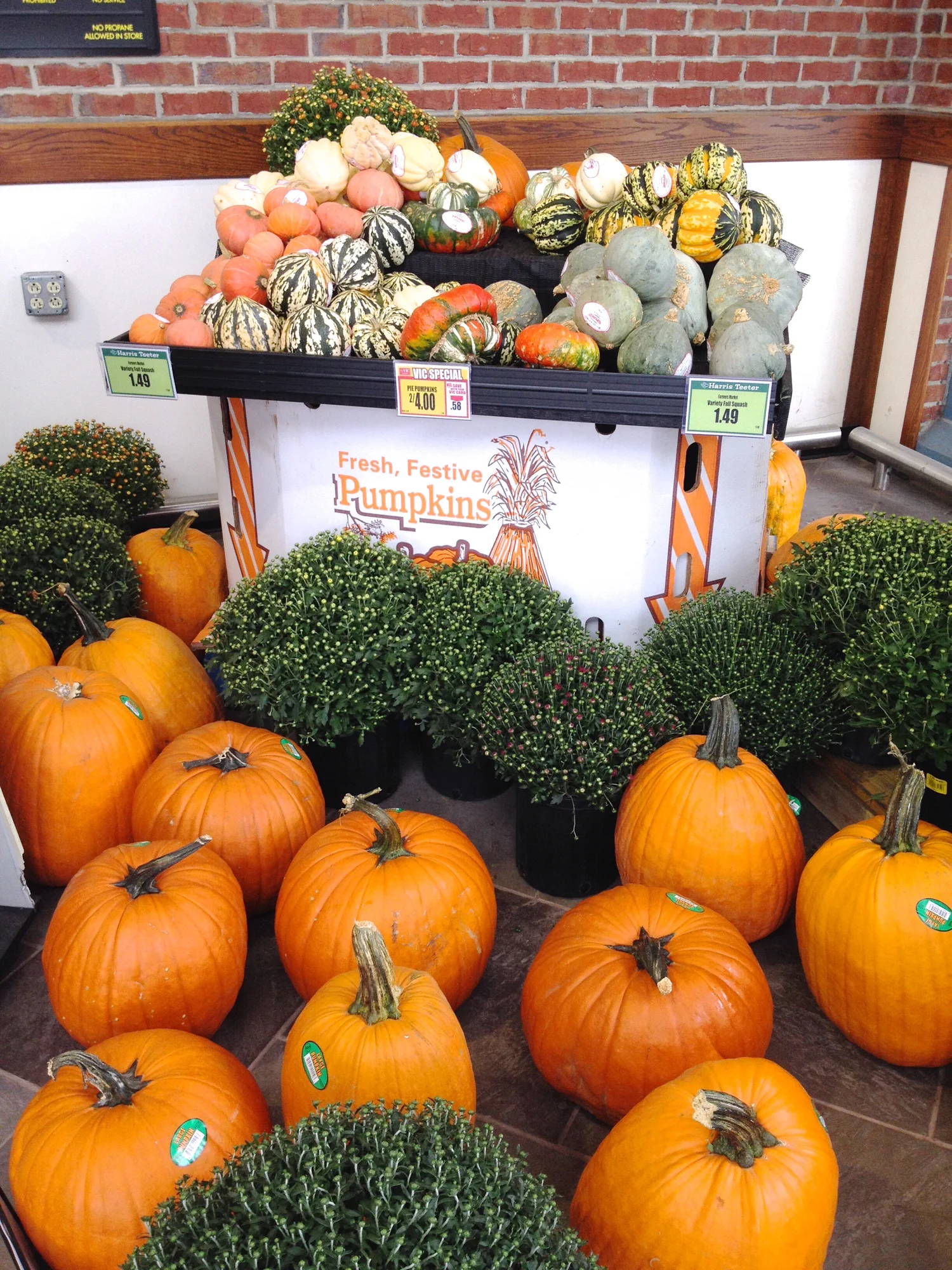 Fall Favorites — Breanna Spain Blog