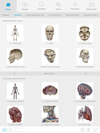 The 10 Best Resources to Learn and Master DPT School Anatomy — Breanna ...