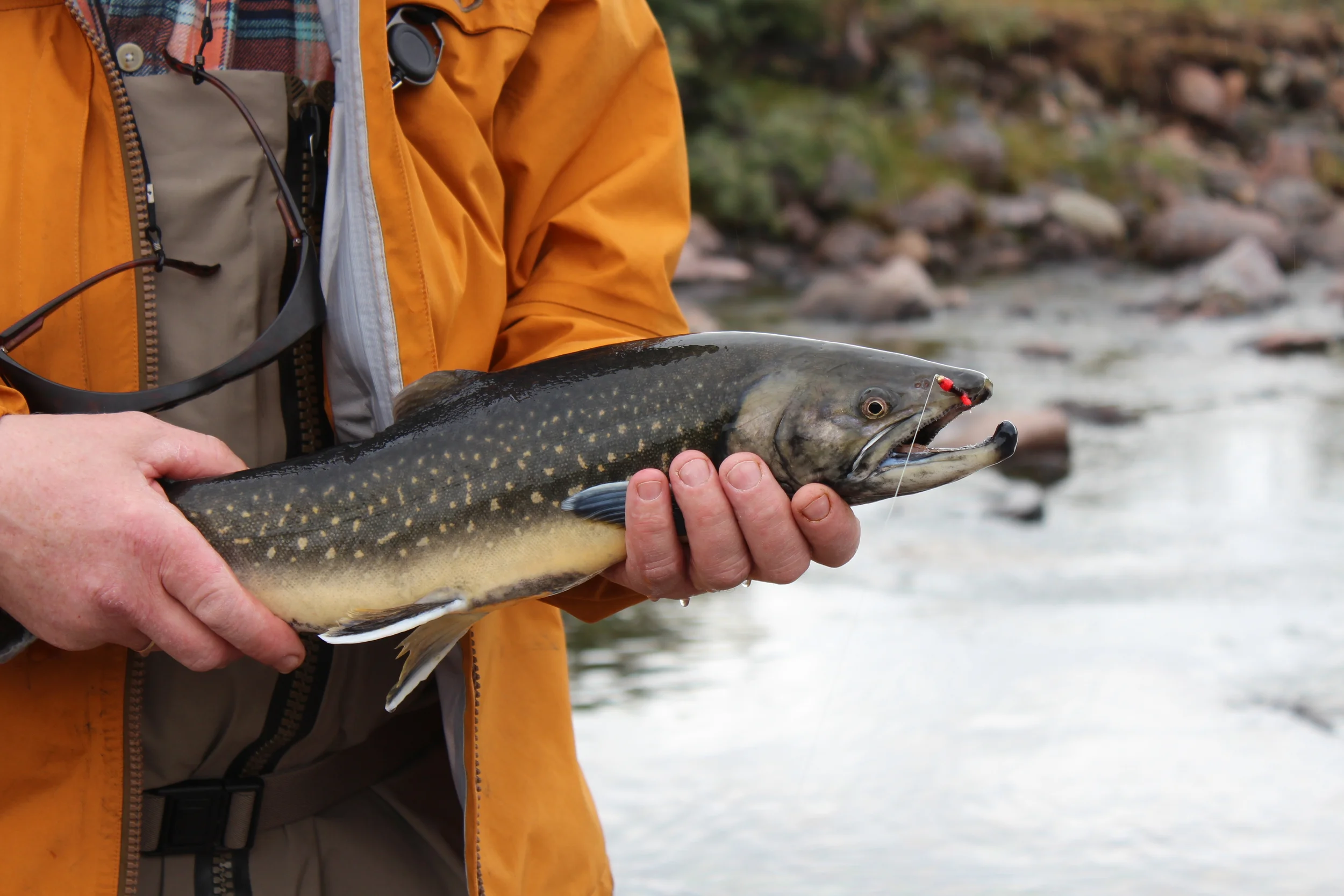 Greenland Fly Fishing