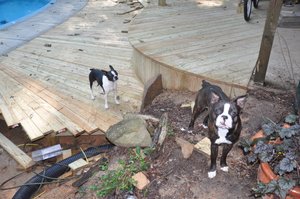 Mike Wilson Construction