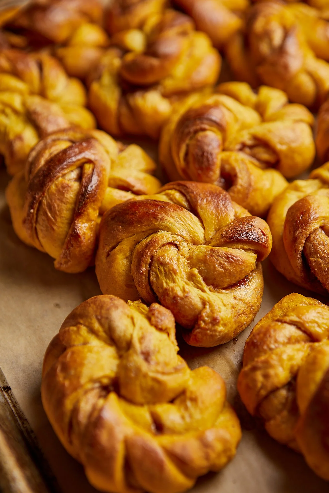 Pumpkin Cinnamon Knots — knead. bake. cook.