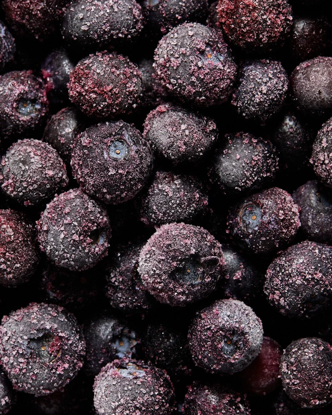 Raisin Focaccia — knead. bake. cook.