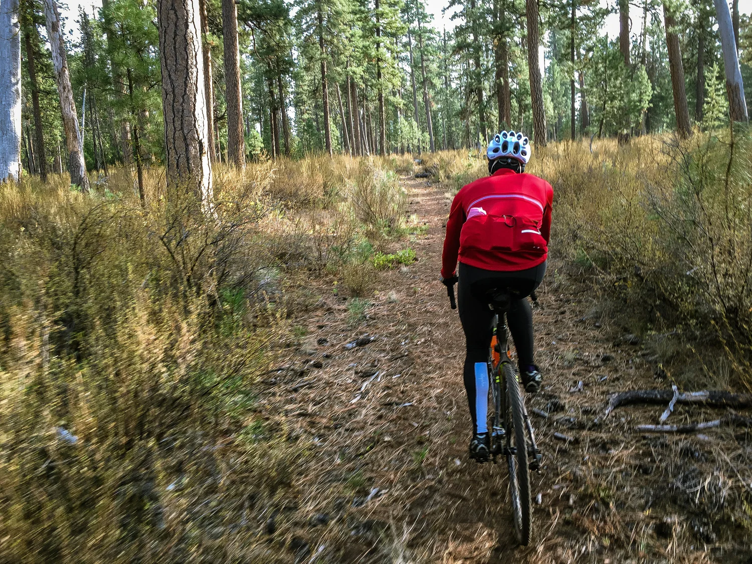 Metolius: Green Ridge + Wizard Falls — Our Mother The Mountain