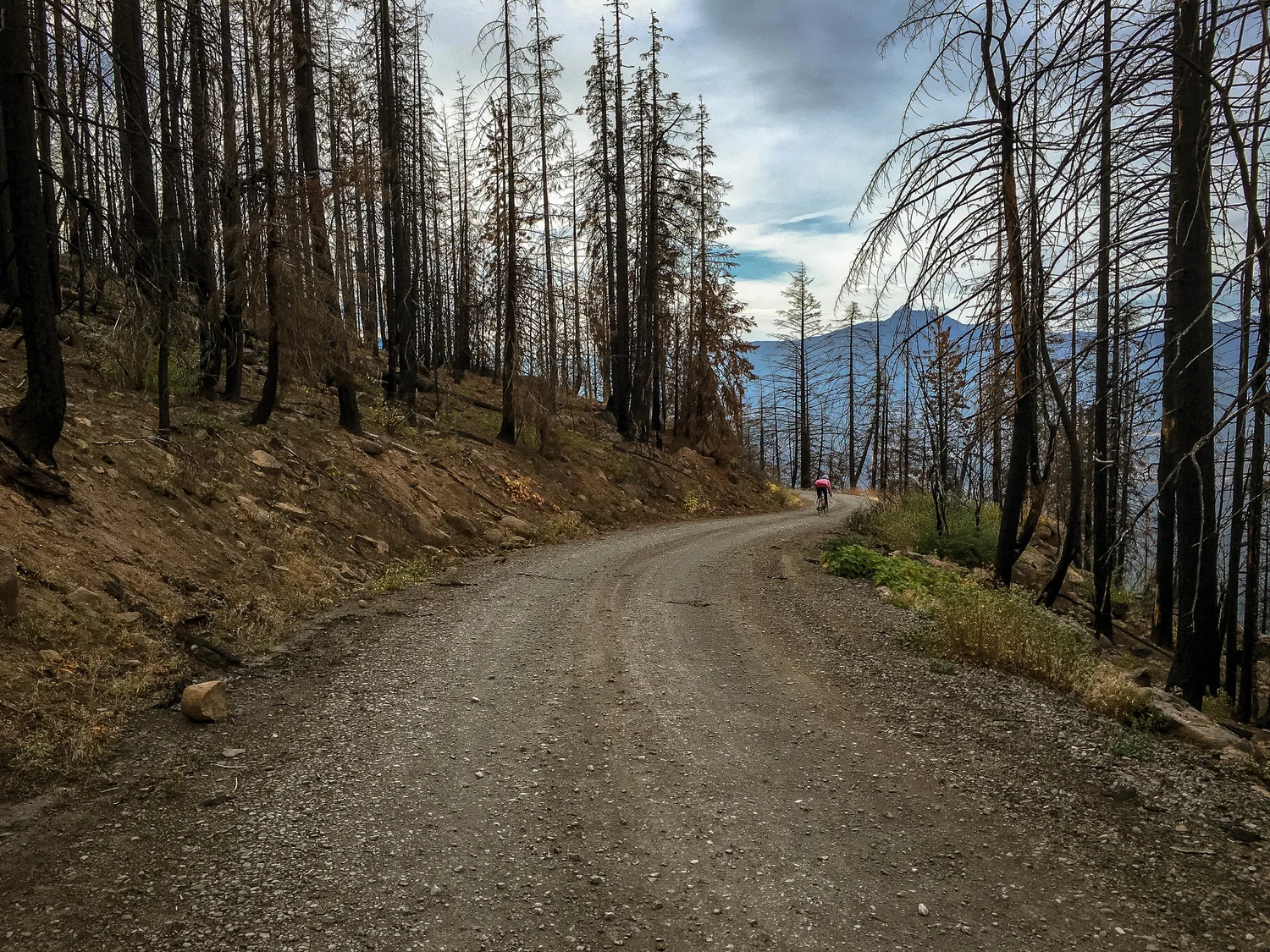 Metolius: Green Ridge + Wizard Falls — Our Mother The Mountain