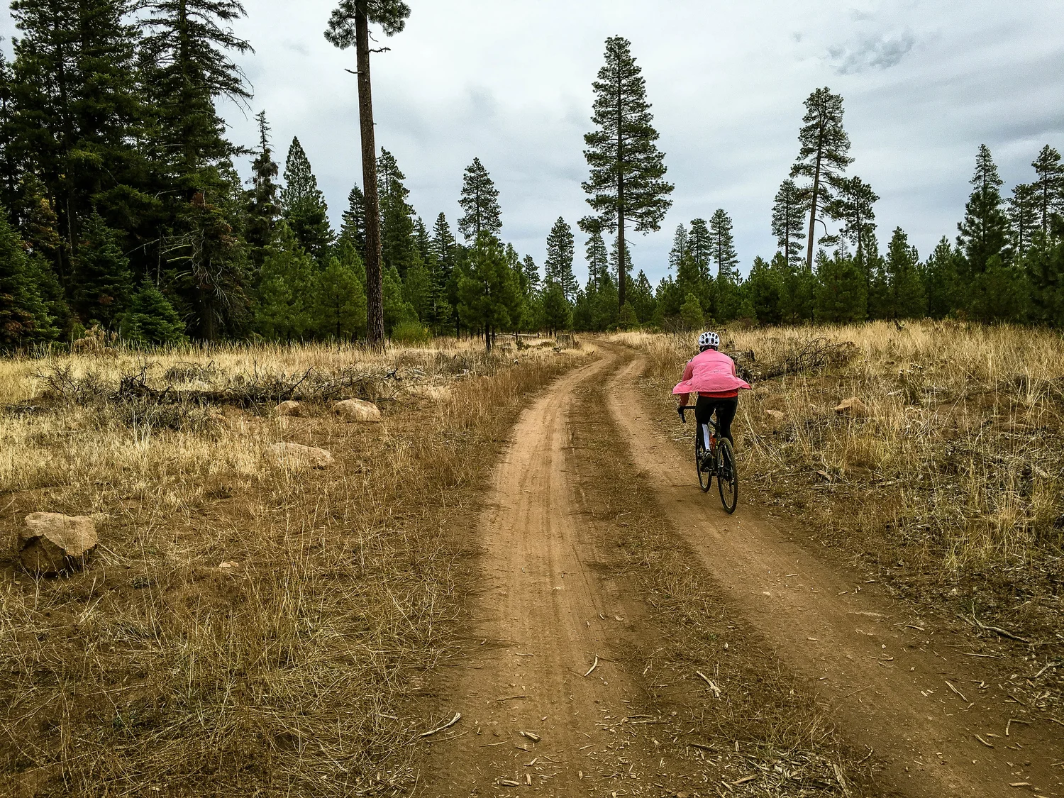 Metolius: Green Ridge + Wizard Falls — Our Mother The Mountain