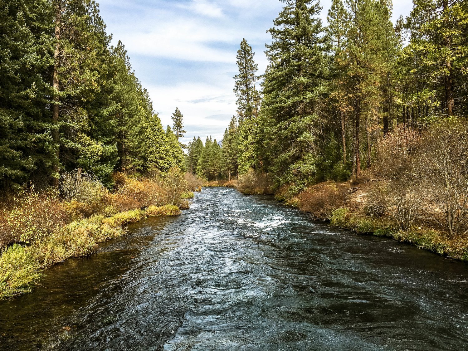 Metolius: Green Ridge + Wizard Falls — Our Mother The Mountain