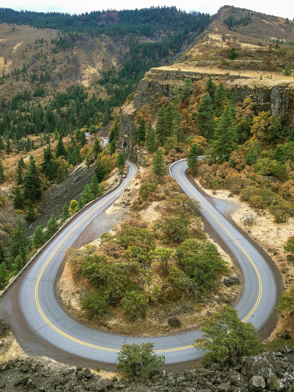 Rowena Ridge Runner — Our Mother The Mountain