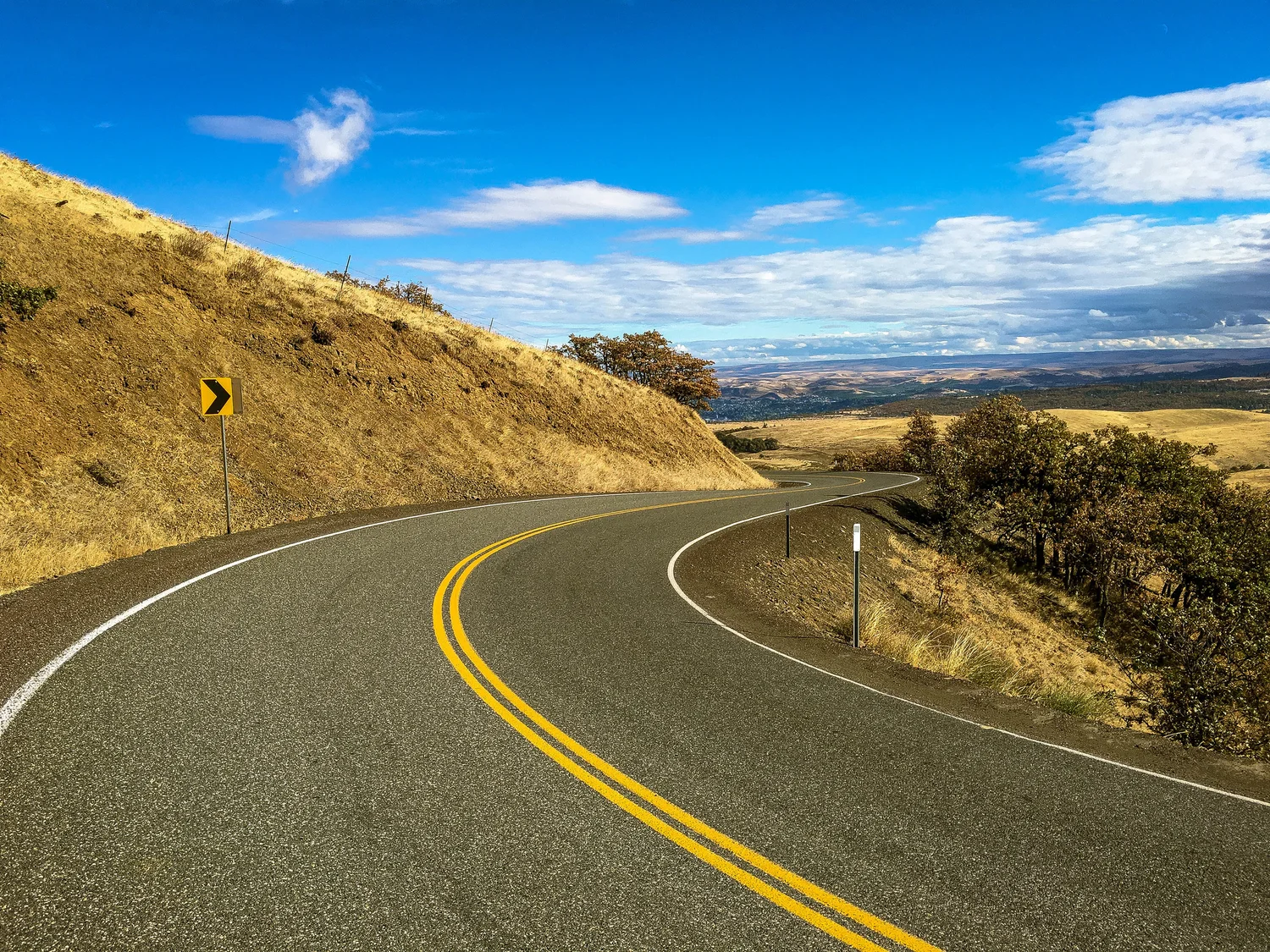Rowena Ridge Runner — Our Mother The Mountain