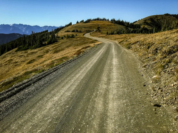 Olympic Range: Hurricane Ridge to Obstruction Point — Our Mother The ...