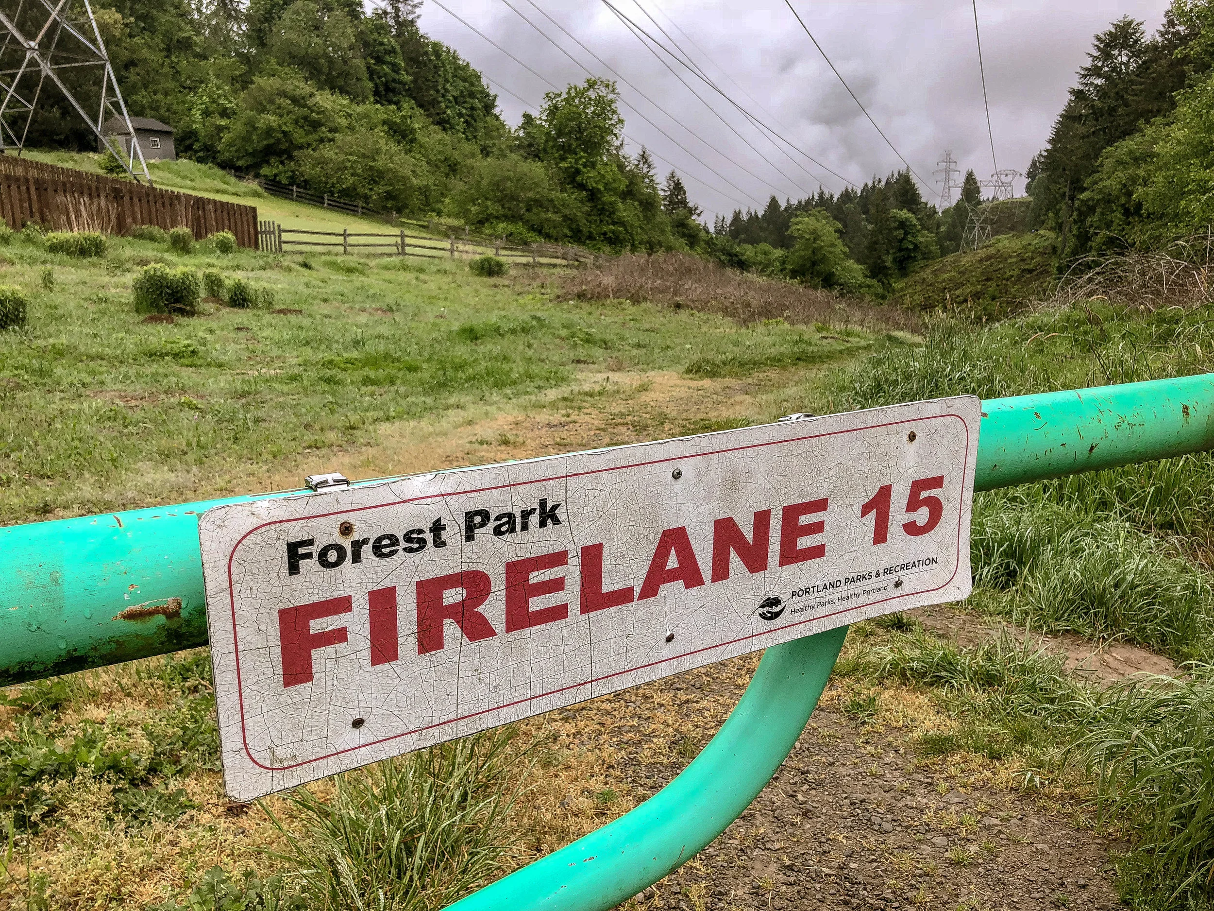 Deep Firelanes: The Best of Forest Park — Our Mother The Mountain