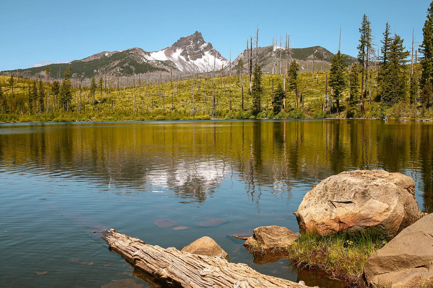 Metolius Headwaters — Our Mother The Mountain
