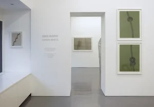 Mar–May 2014: David Murphy — PEER UK