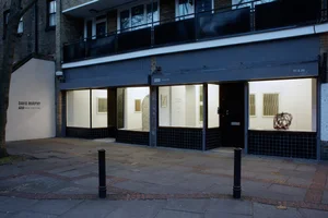 Mar–May 2014: David Murphy — PEER UK