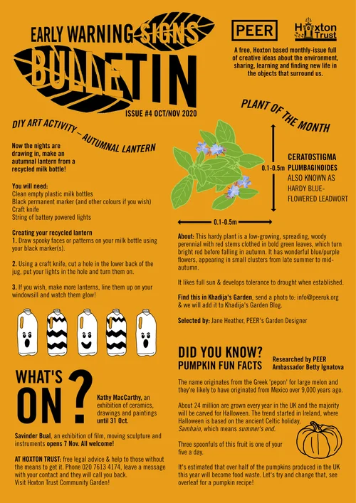 Early Warning Signs Bulletin — Peer Gallery