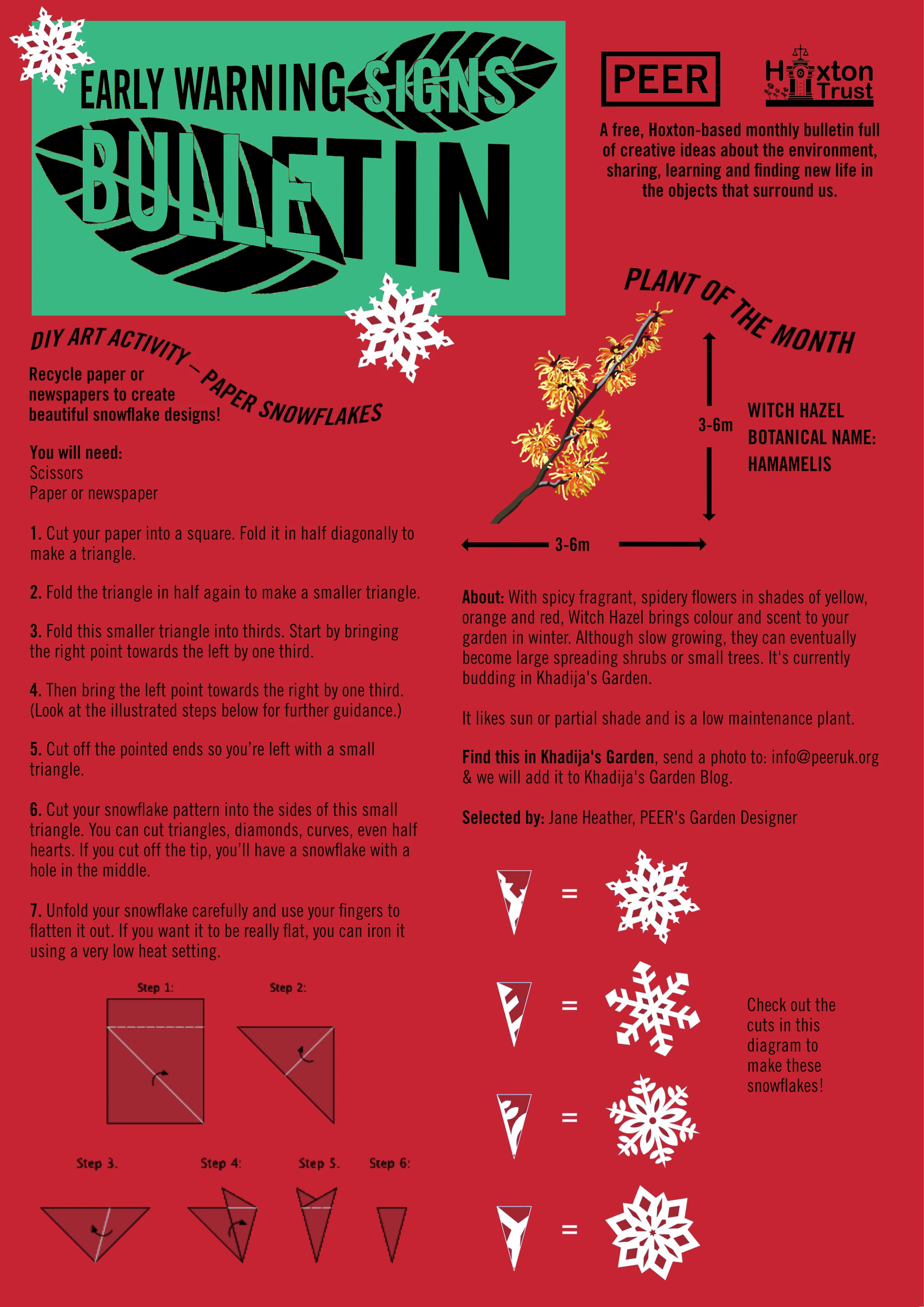 Early Warning Signs Bulletin — Peer Gallery