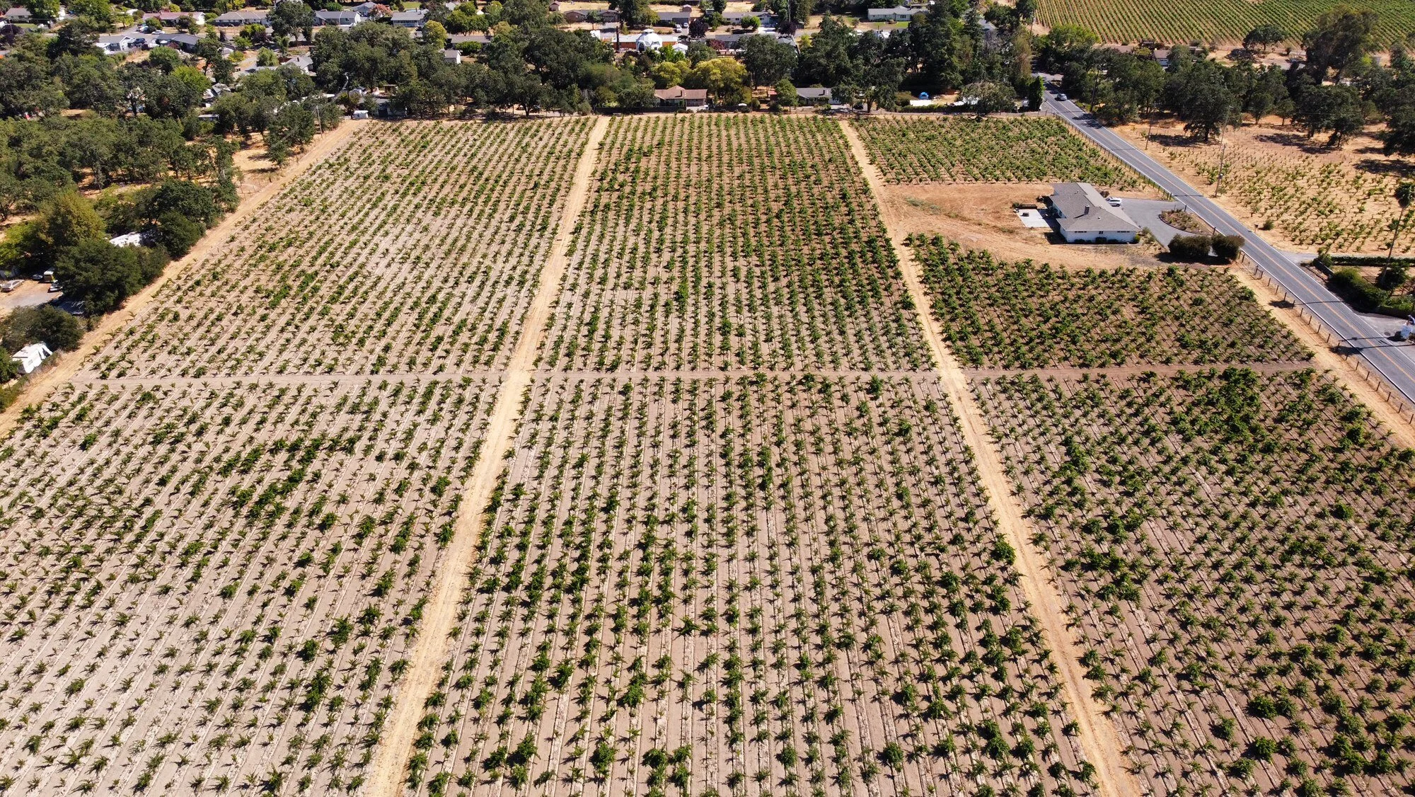 Mancini Ranch — Reichwage Winery