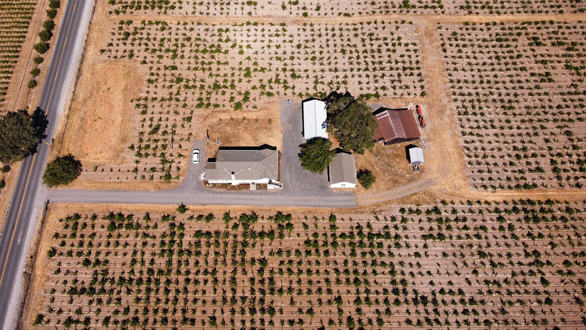 Mancini Ranch — Reichwage Winery