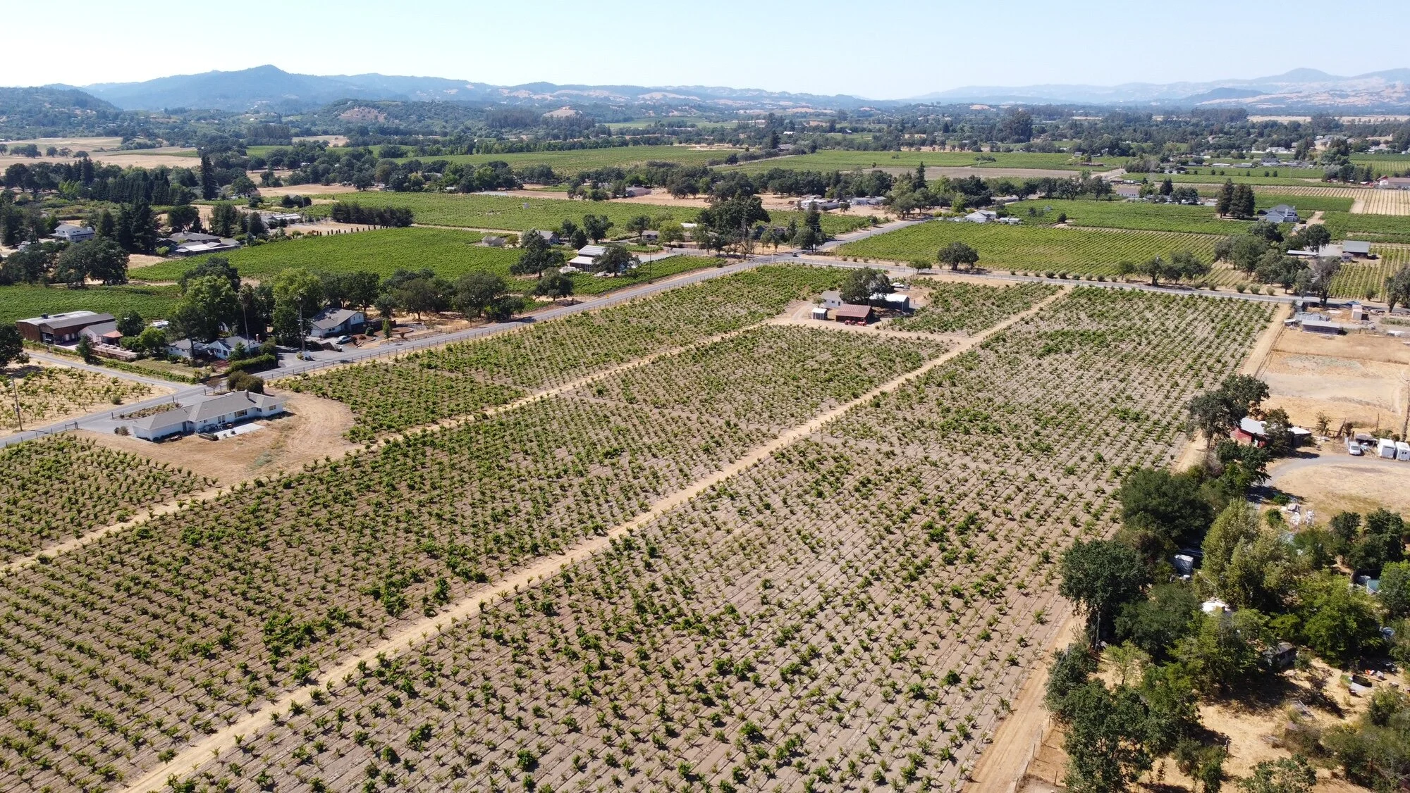 Mancini Ranch — Reichwage Winery