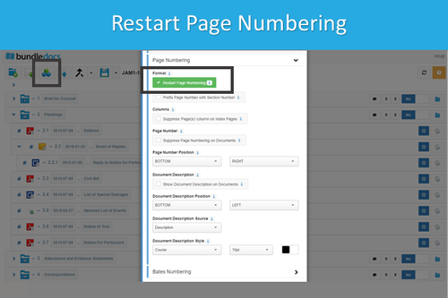 Feature Focus: Restart Page Numbering for Each Section — Bundledocs