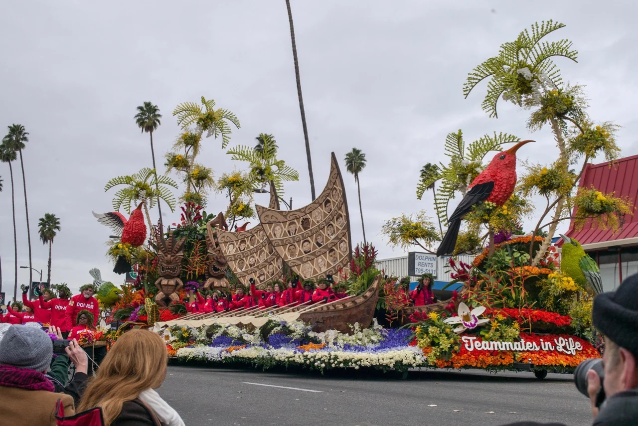 It's the Rose Parade — Steadily Mobbing