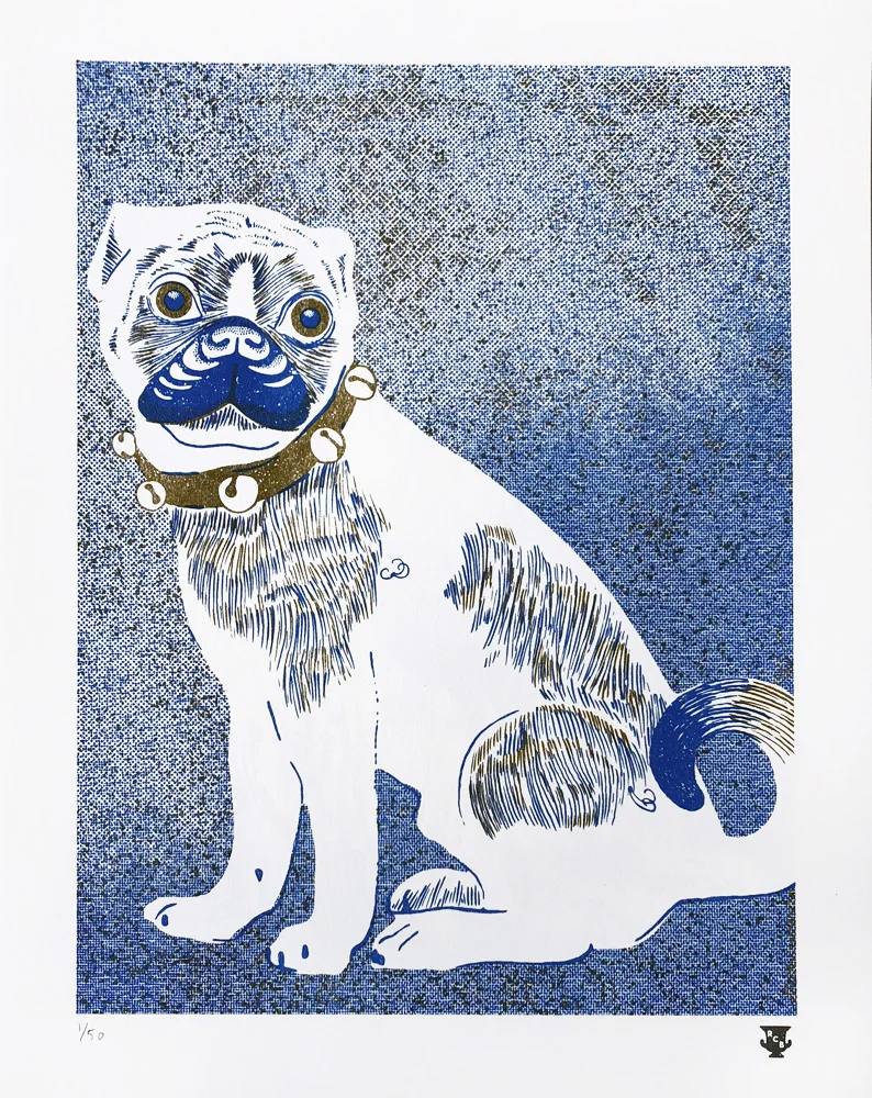 Why Do Dogs Have Hairy Moles