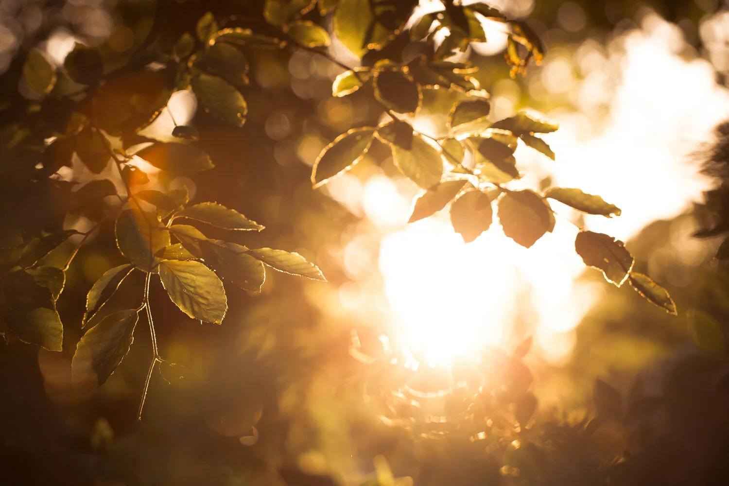 Katrina Stewart Photography