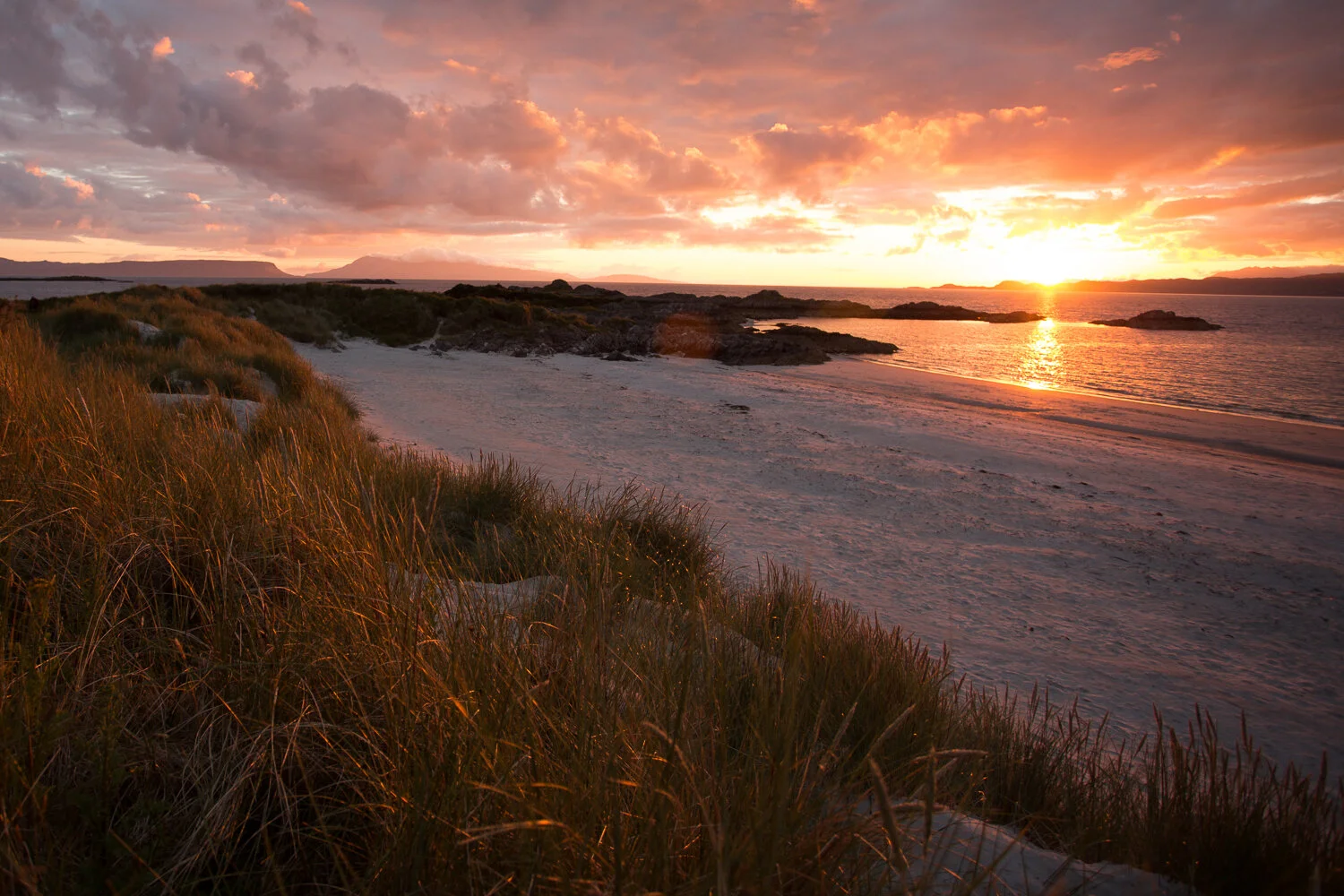 Katrina Stewart Photography