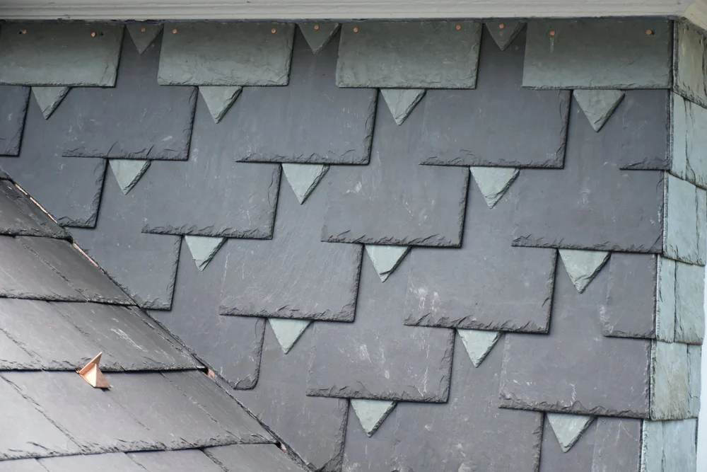 Jenkins Slate Masters's