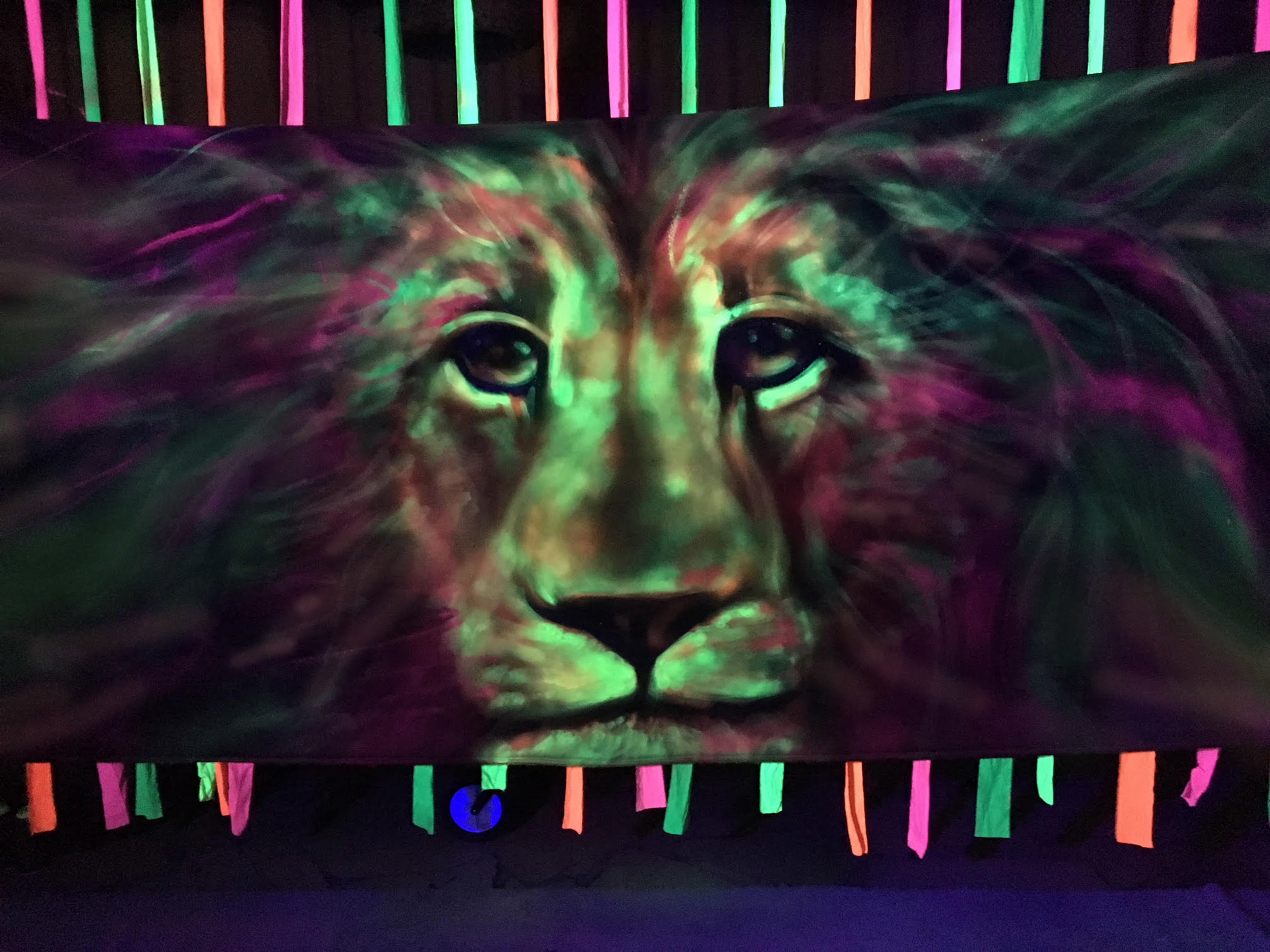 Maddy Butcher, British street artist, illustrator & painter, Dubai UAE ...