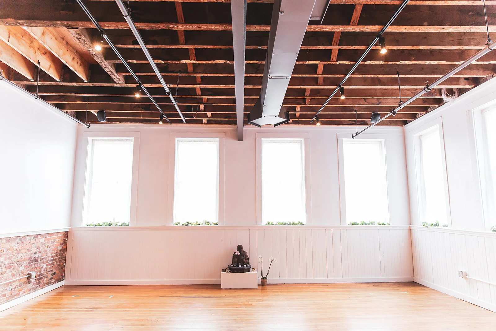 The Yoga Tree