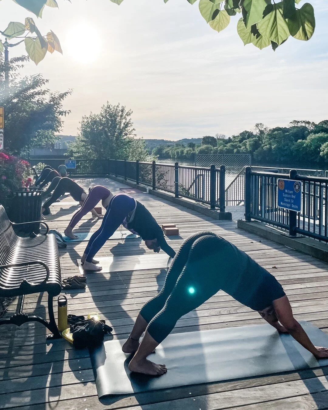 The Yoga Tree