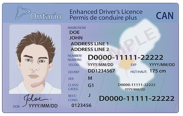 Ontario drivers license number format - tangokum