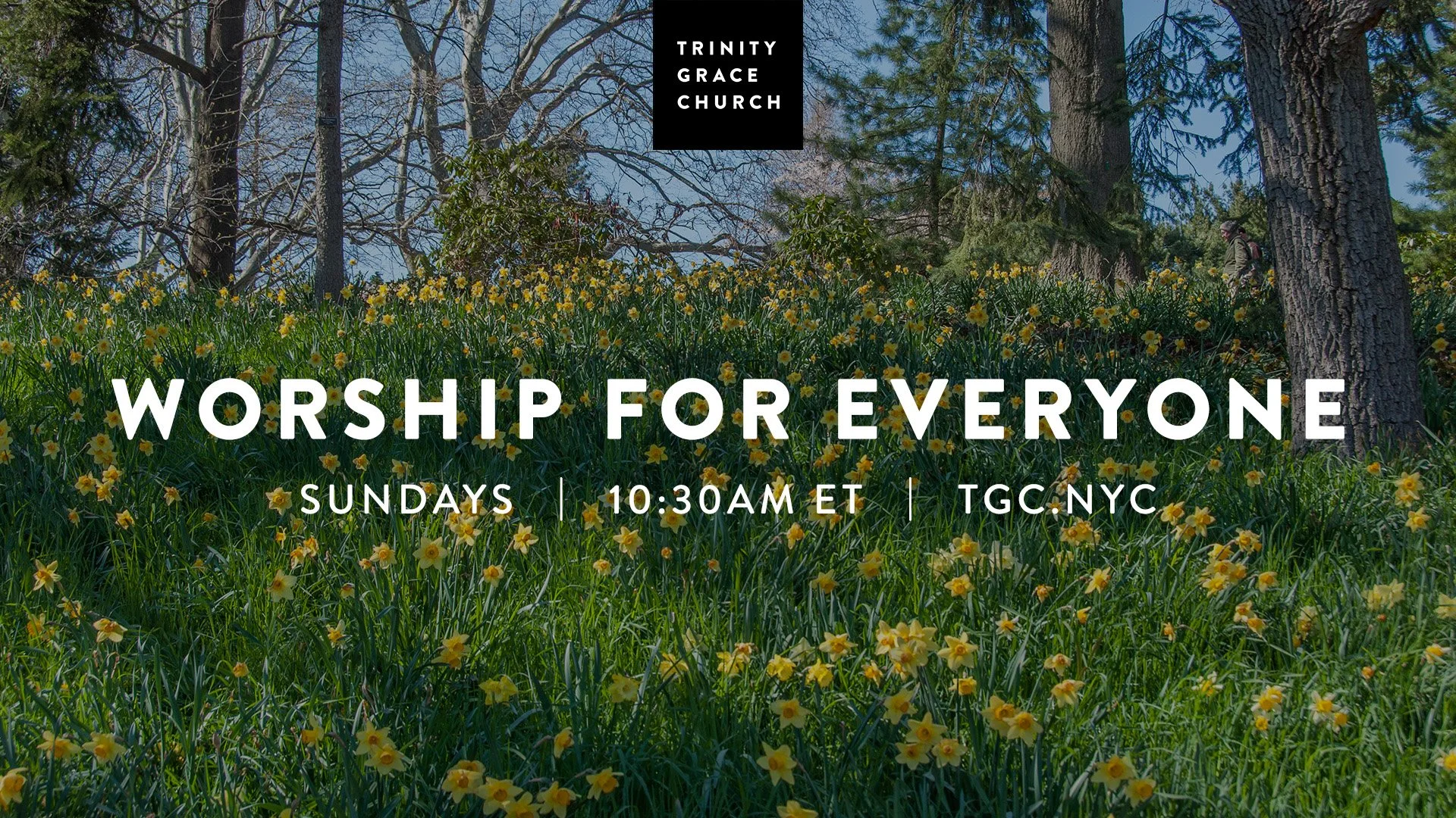Watch Online — Trinity Grace Church