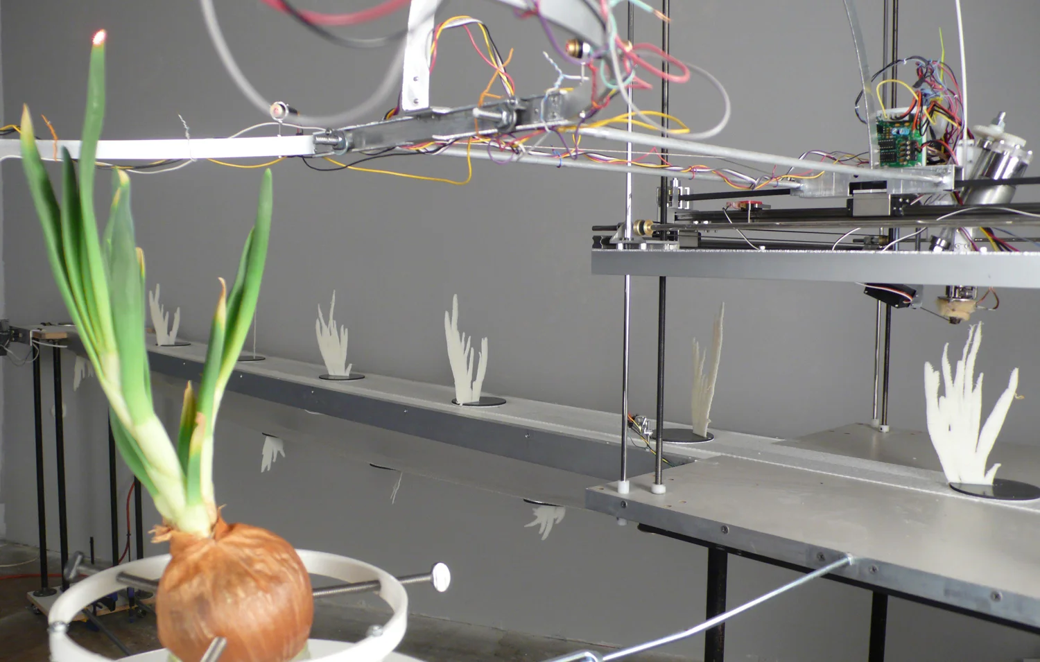 growth modeling device — David Bowen