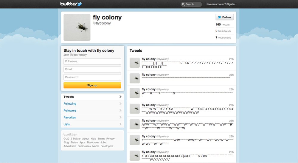fly tweet — David Bowen