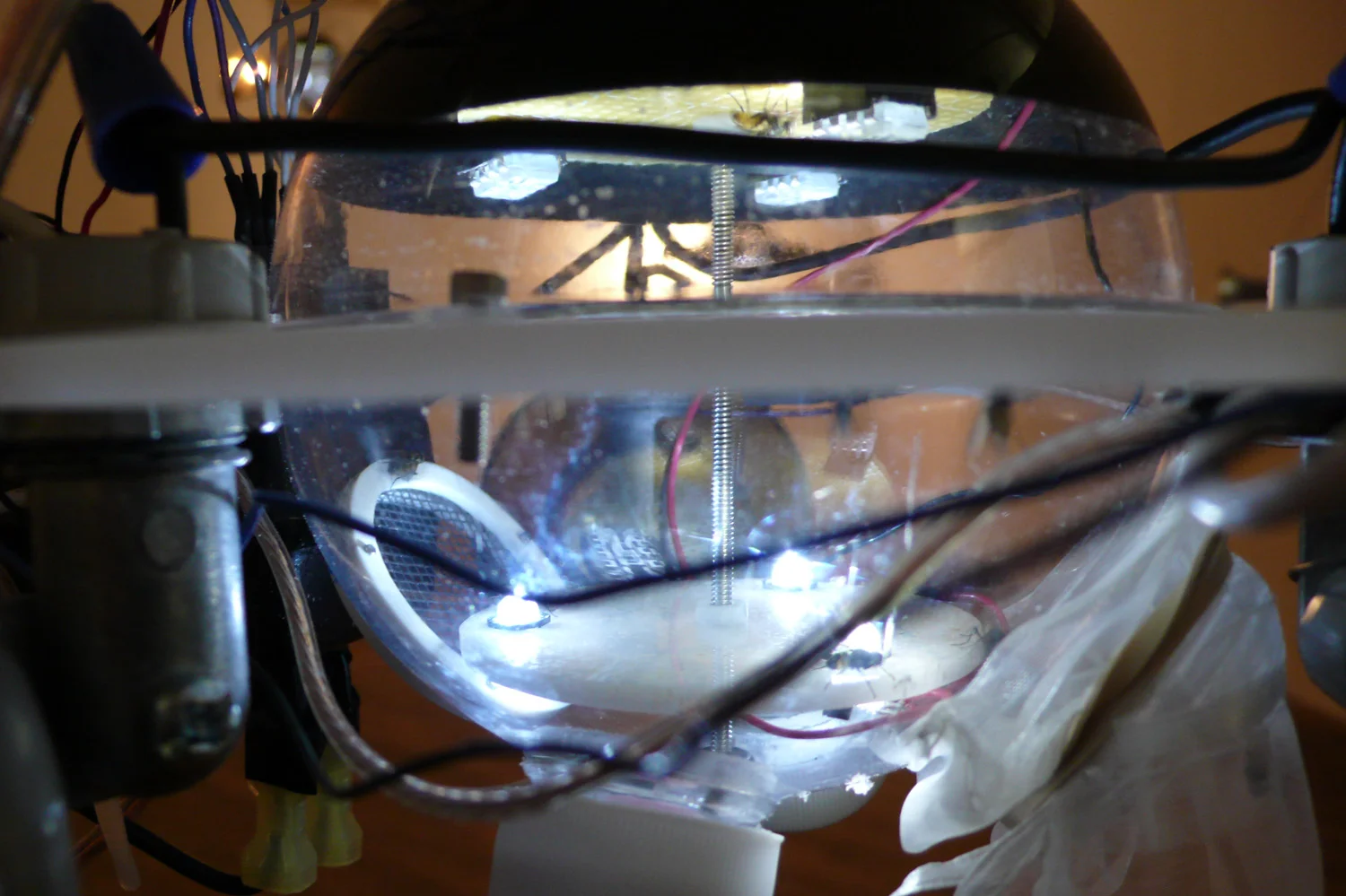 fly lights — David Bowen