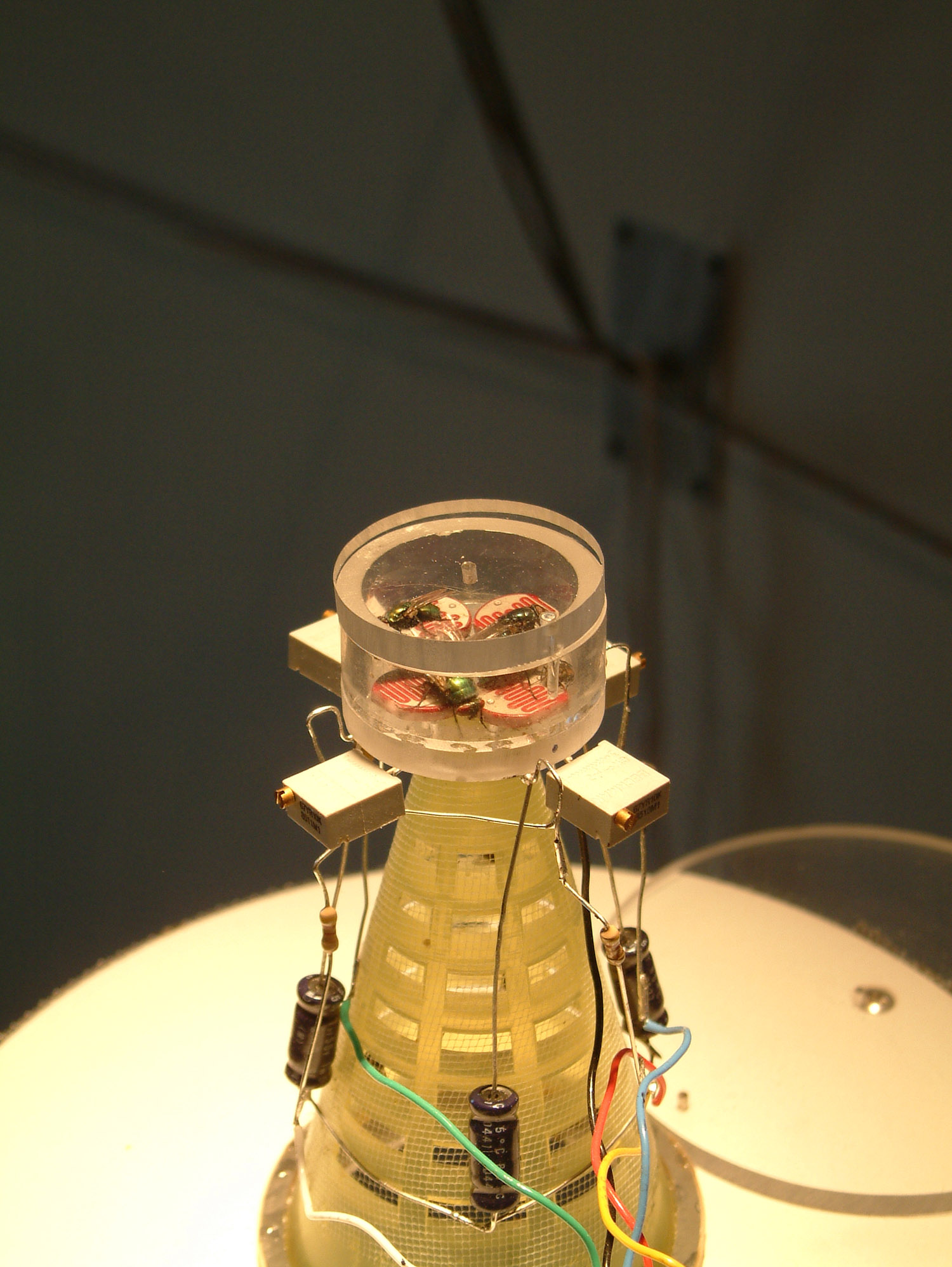 fly drawing device — David Bowen