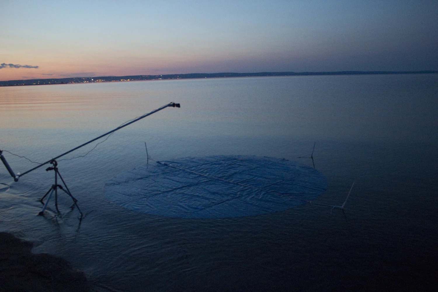 plant_machete — David Bowen