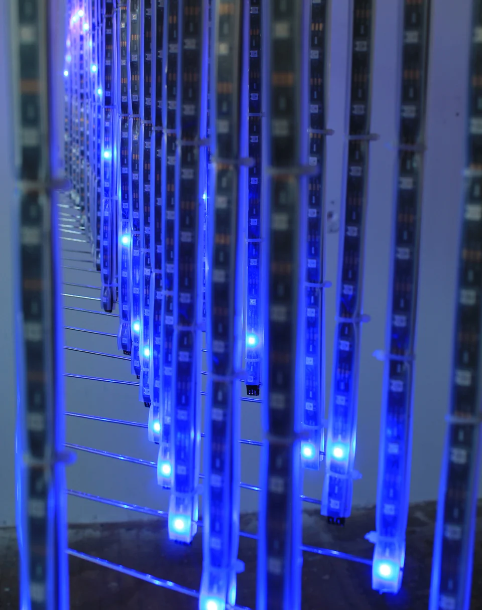 plant_machete — David Bowen